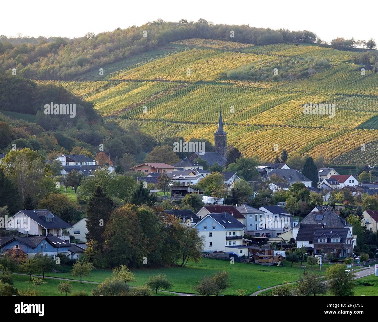 Saar wine hi-res stock photography and images - Alamy