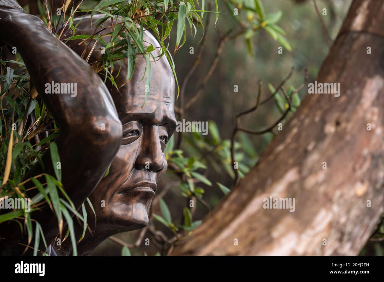 Buddha at the Fansipan at Sapa in Vietnam Stock Photo - Alamy