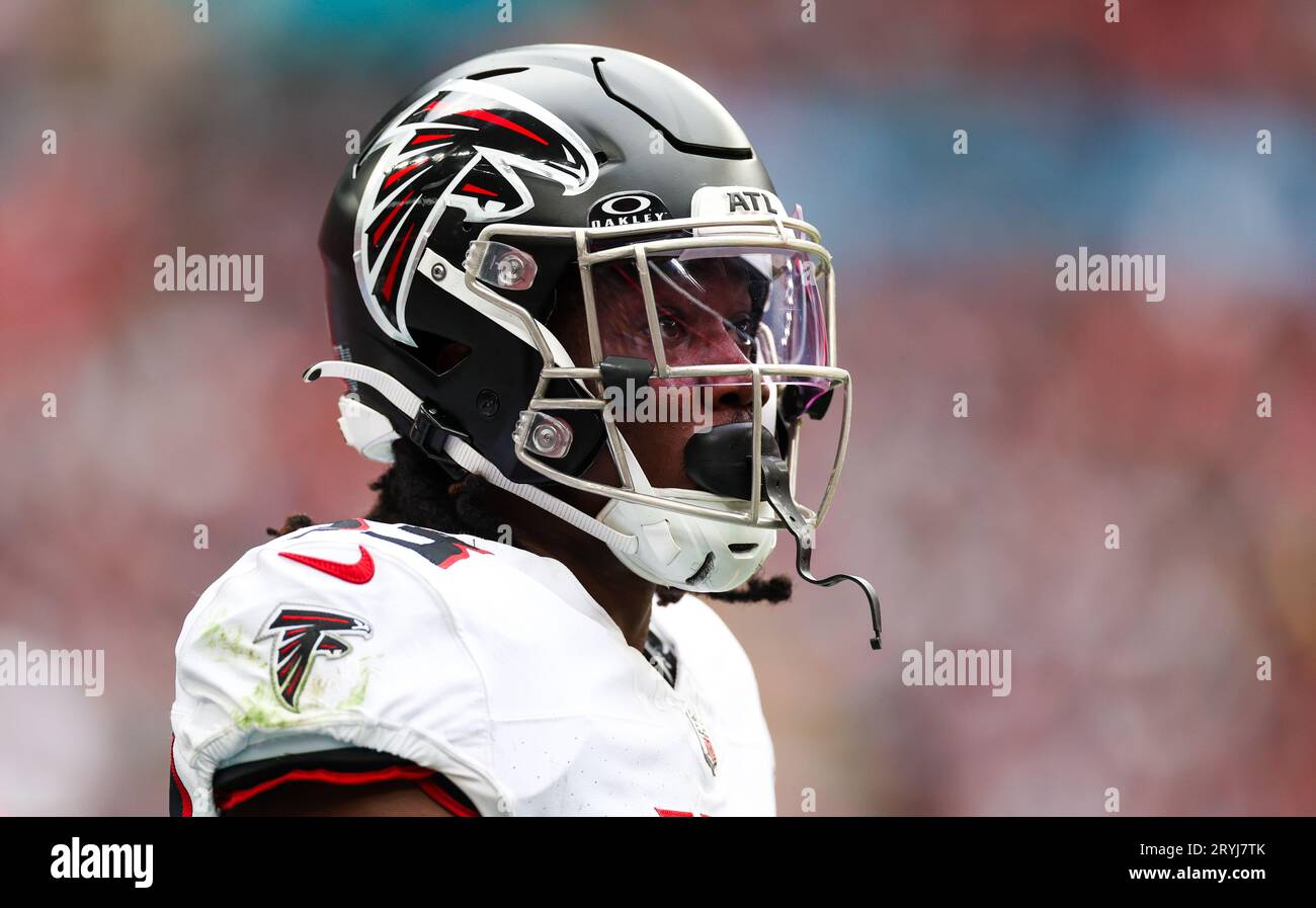Tre flowers falcons hi-res stock photography and images - Alamy