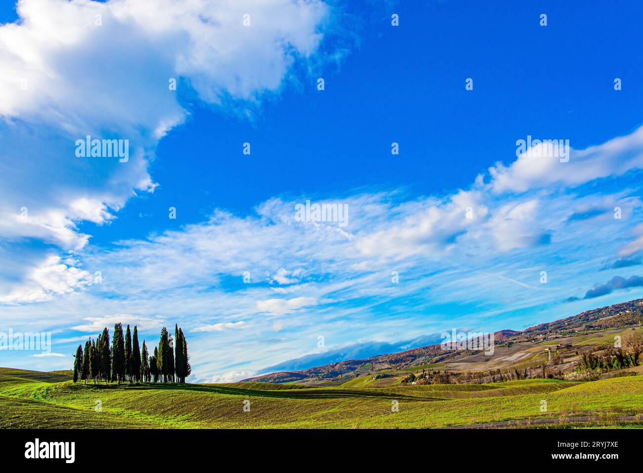 Grass hill sunny day hi-res stock photography and images - Alamy