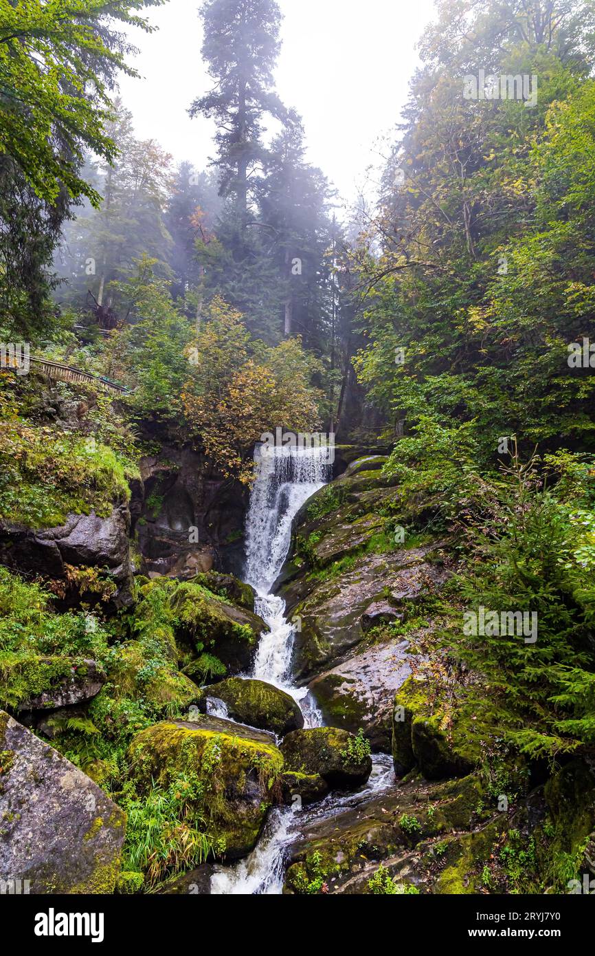 Autumn leaf black rock water flow hi-res stock photography and images - Alamy