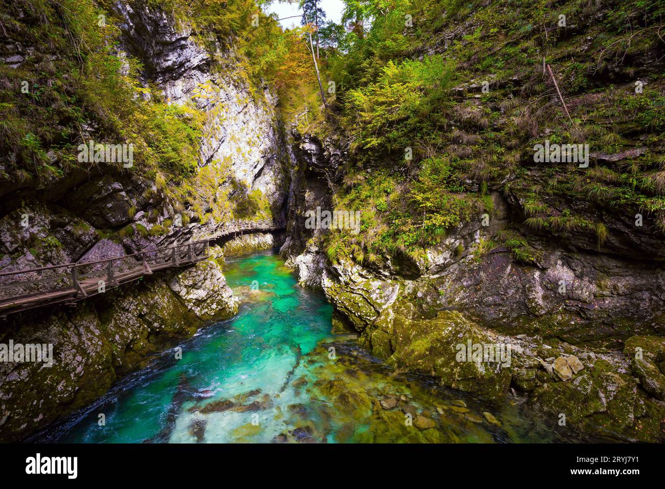 The river with azure water Stock Photo - Alamy