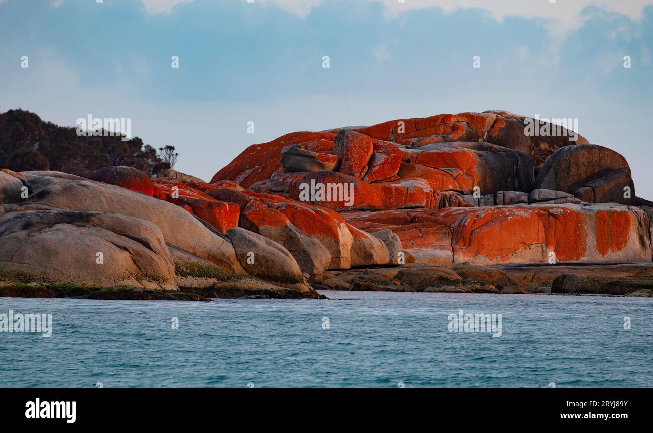 Bay of Fires is distinctive for its huge granite boulders splashed with ...