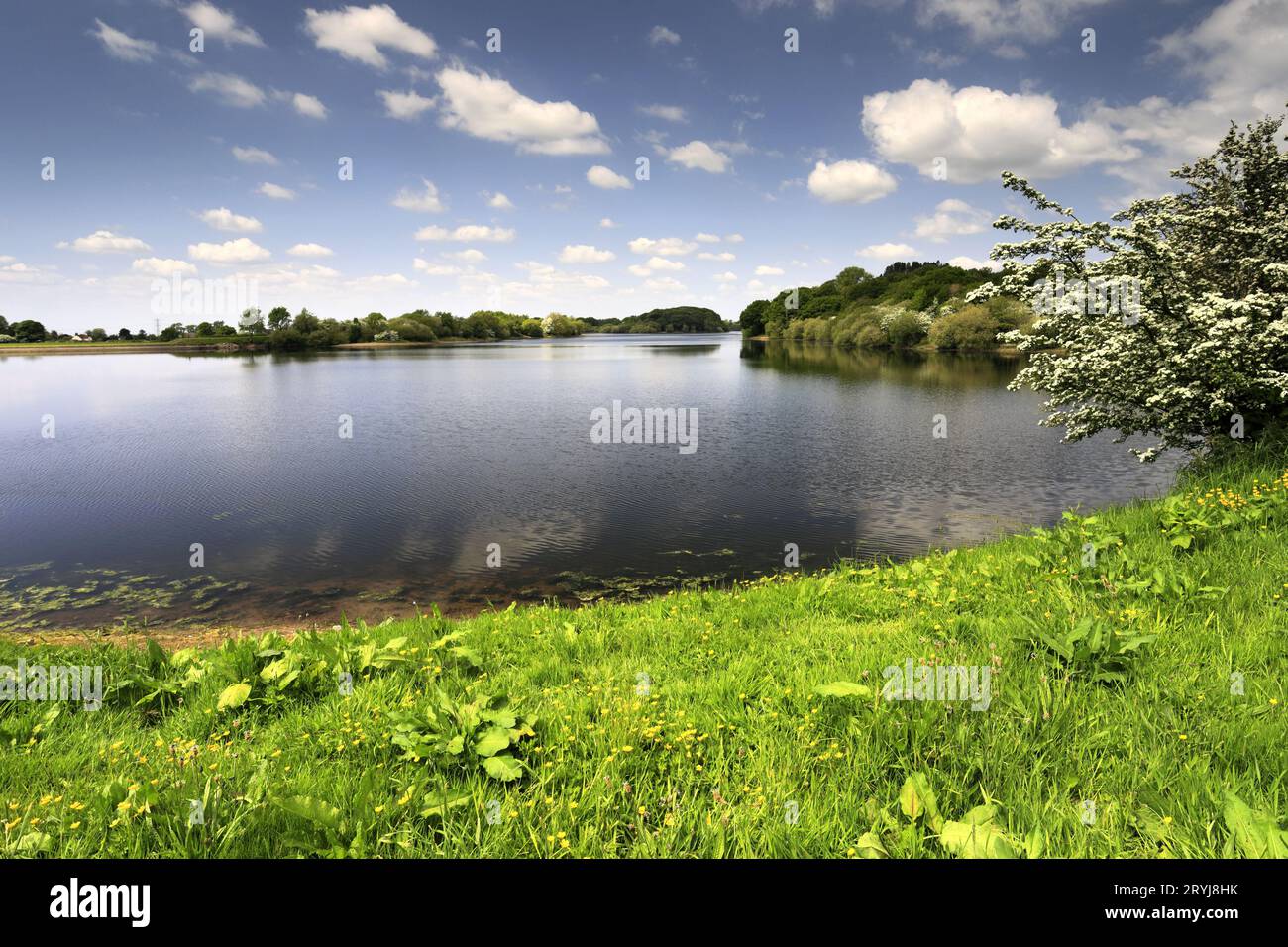 View over the Bosley Reservoir, Bosley village, Cheshire, England, UK ...