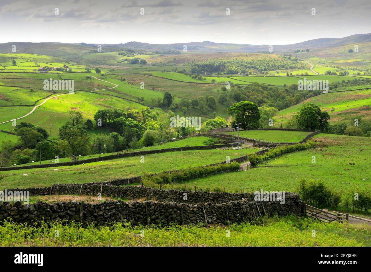 The River Dane valley near Knar village, Cheshire, England, UK Stock ...