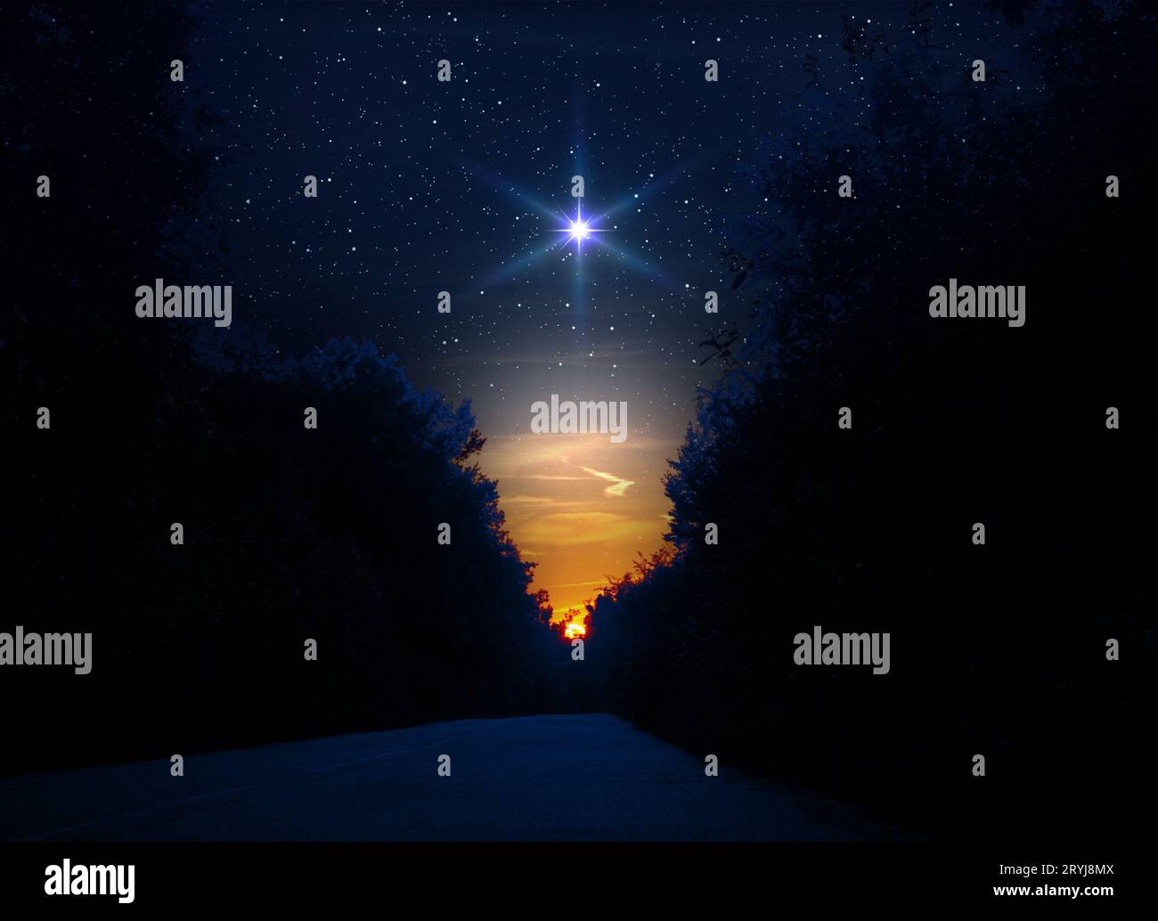 Bright star in the starry night sky. Silhouette of the forest and night ...