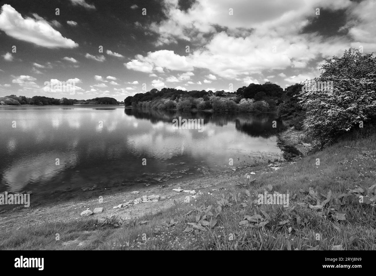 View over the Bosley Reservoir, Bosley village, Cheshire, England, UK ...