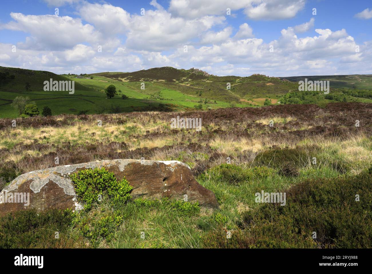 View over the Roaches Rocks, near Leek town, Staffordshire, England, UK ...
