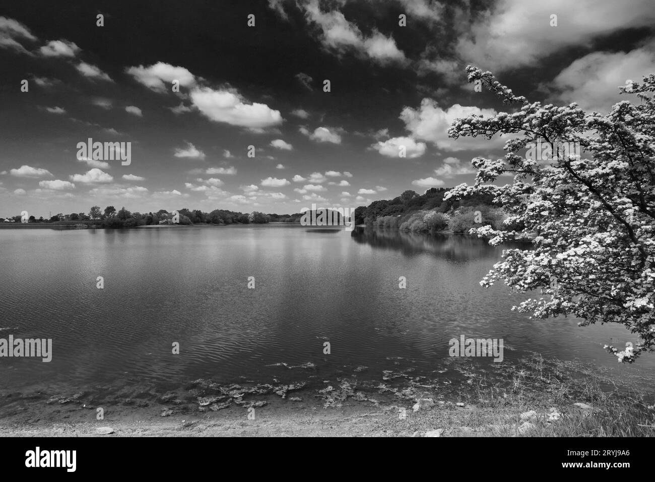 View over the Bosley Reservoir, Bosley village, Cheshire, England, UK ...