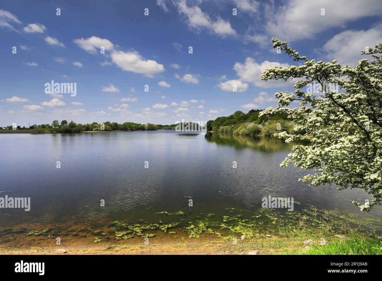 View over the Bosley Reservoir, Bosley village, Cheshire, England, UK ...