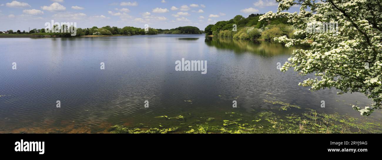 View over the Bosley Reservoir, Bosley village, Cheshire, England, UK ...