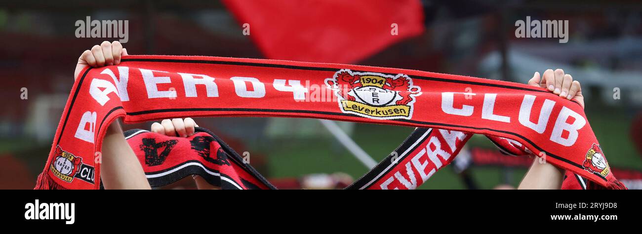 Hacken 2024 hi-res stock photography and images - Alamy