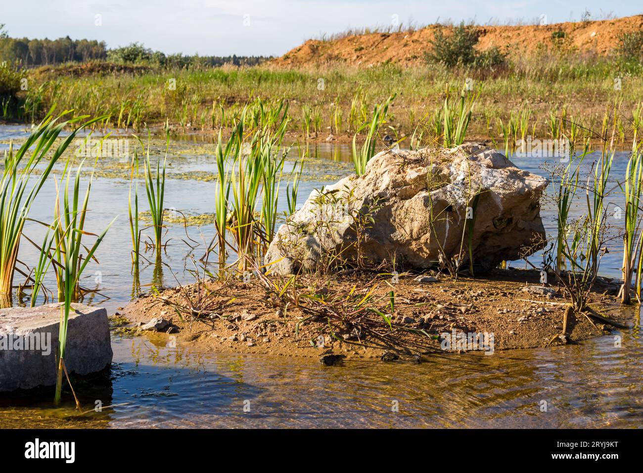 Shoal on a pond with boulders and vegetation Stock Photo - Alamy