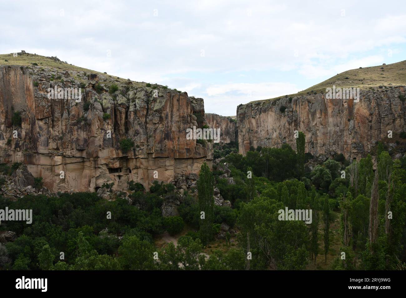 View of the Ihlara valley with cliff edge and forest in Aksaray ...