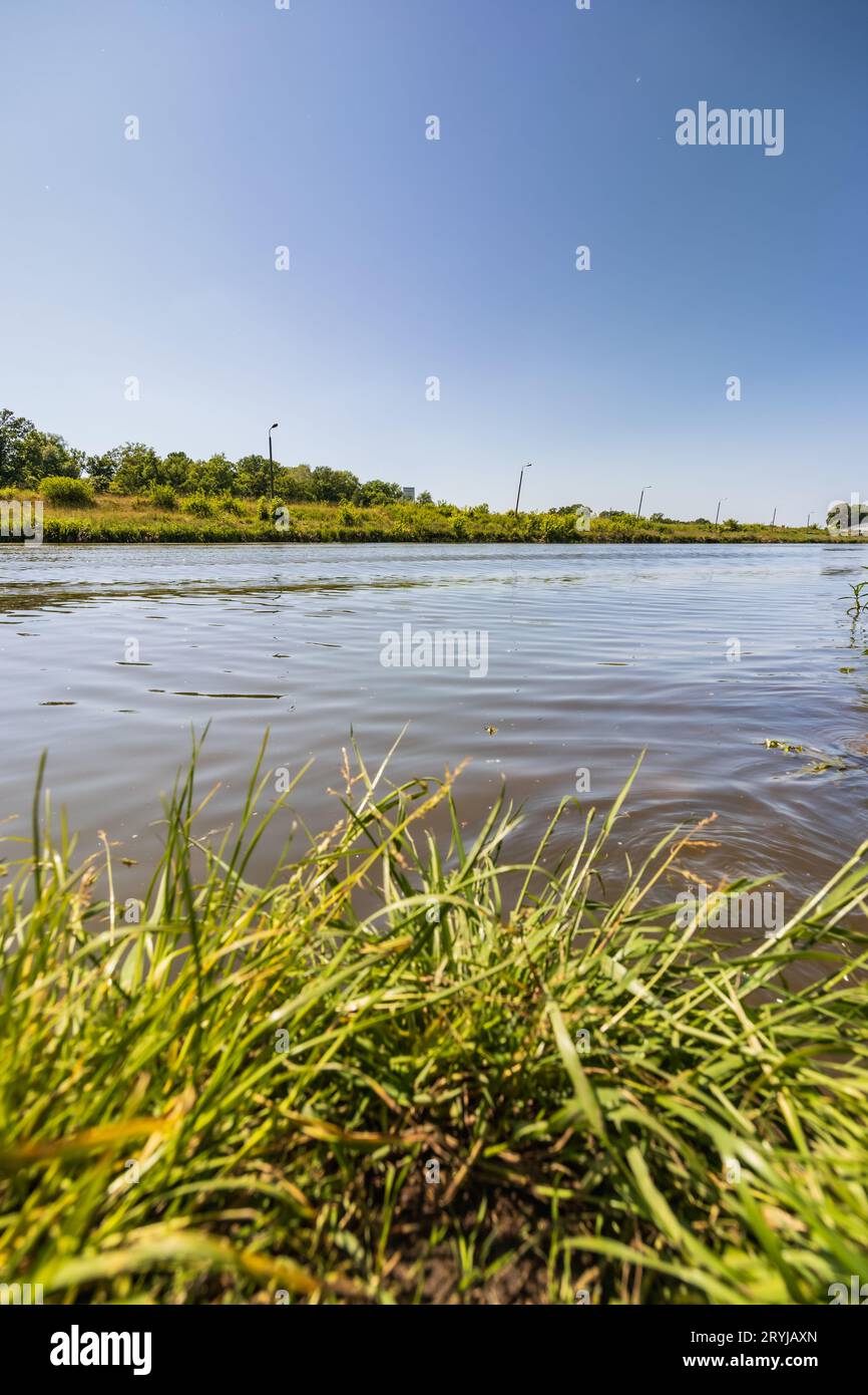 Beautiful sunny landscape of high blades of grass next to long river ...