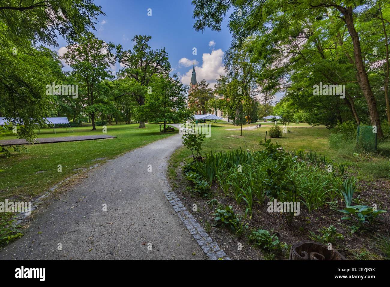 Long curvy path in beautiful green park with tower of building at sunny ...