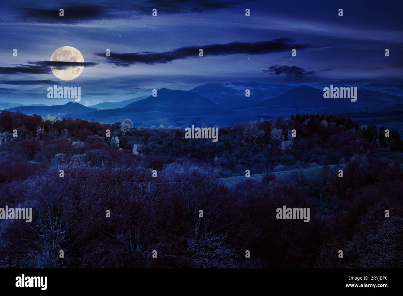 autumn landscape at night. forest in the mountains covered with red and ...