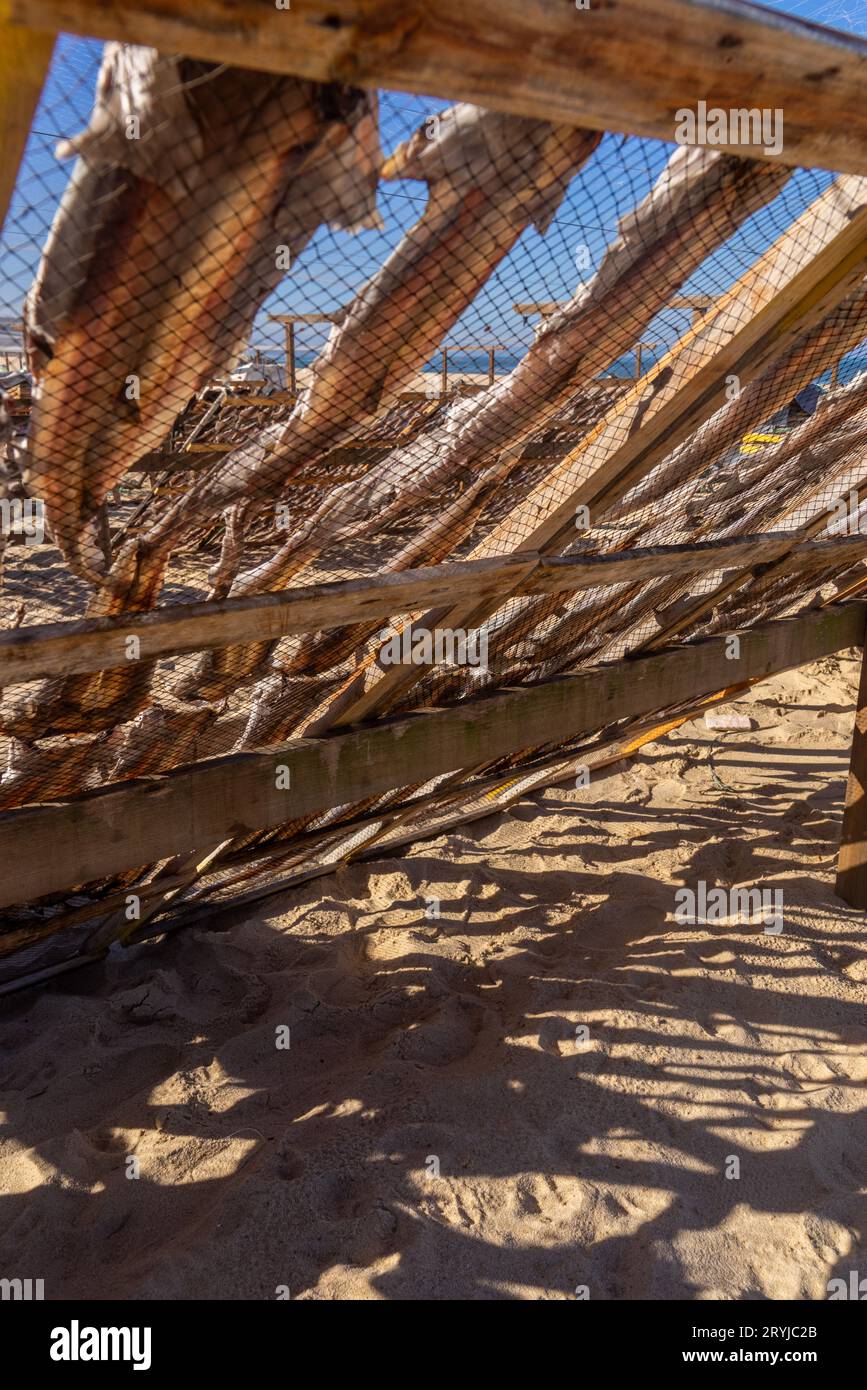 Sun drying fish in the fishing village of Nazare in Portugal, host to ...