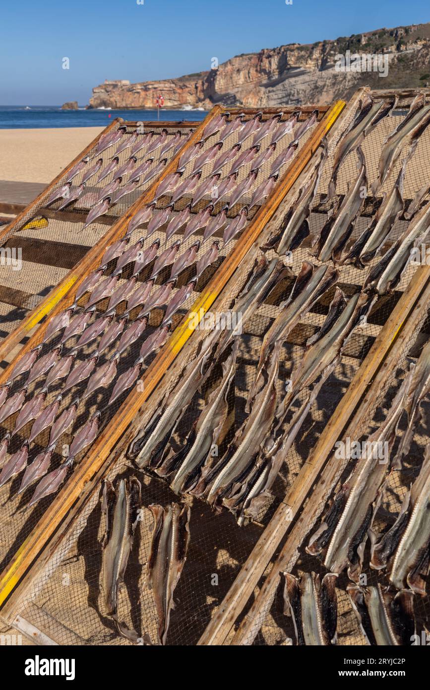 Sun drying fish in the fishing village of Nazare in Portugal, host to ...