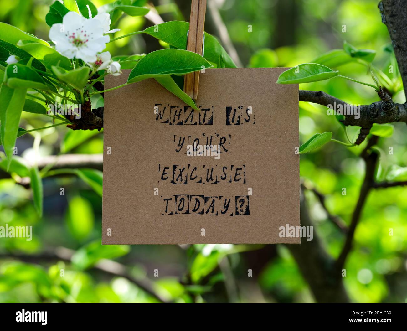 A piece of cardboard with the words What Is Your Excuse Today? on it ...