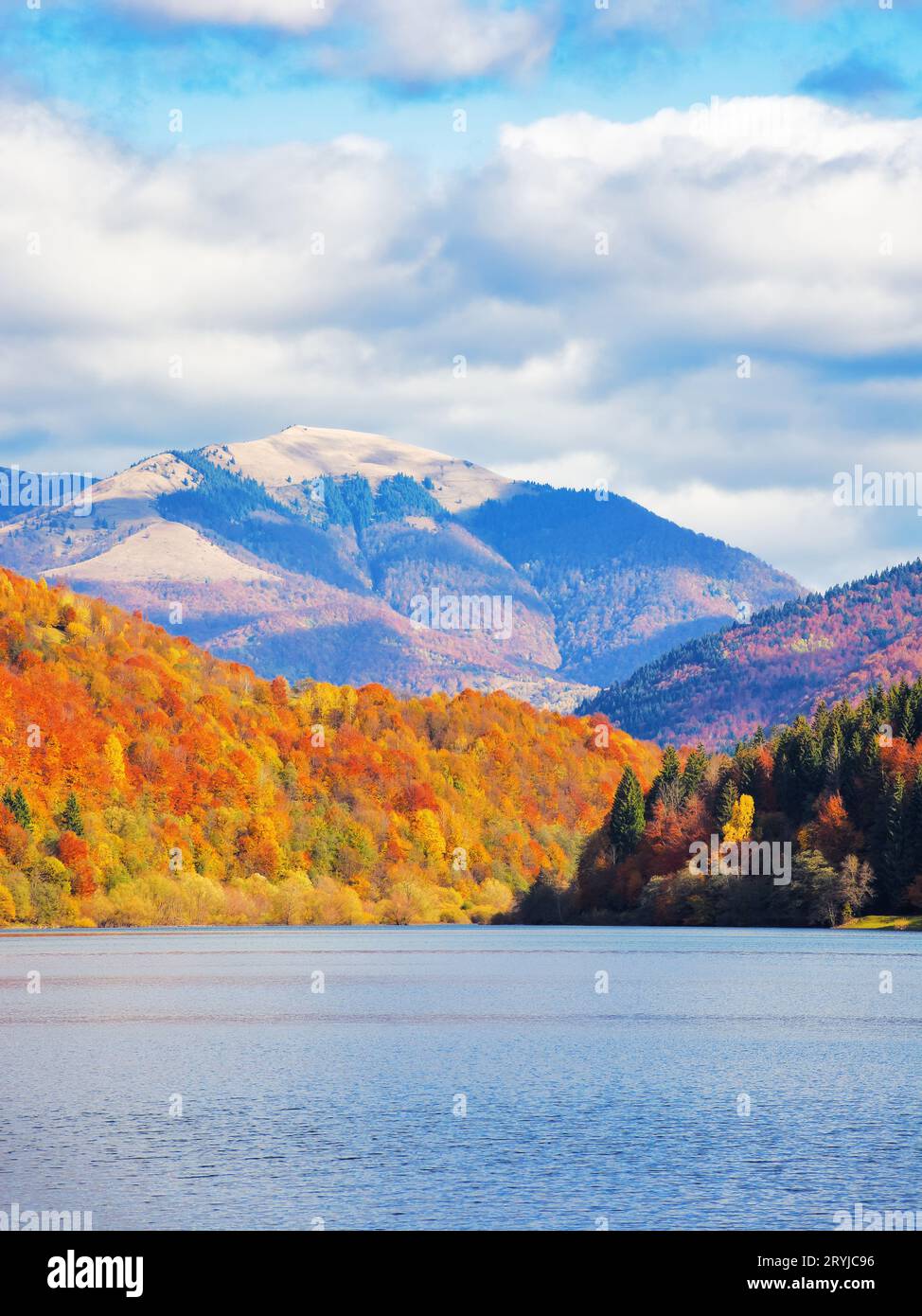 mountainous autumn landscape with lake. nature background with trees on ...