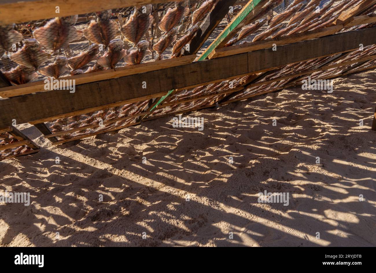 Sun drying fish in the fishing village of Nazare in Portugal, host to ...