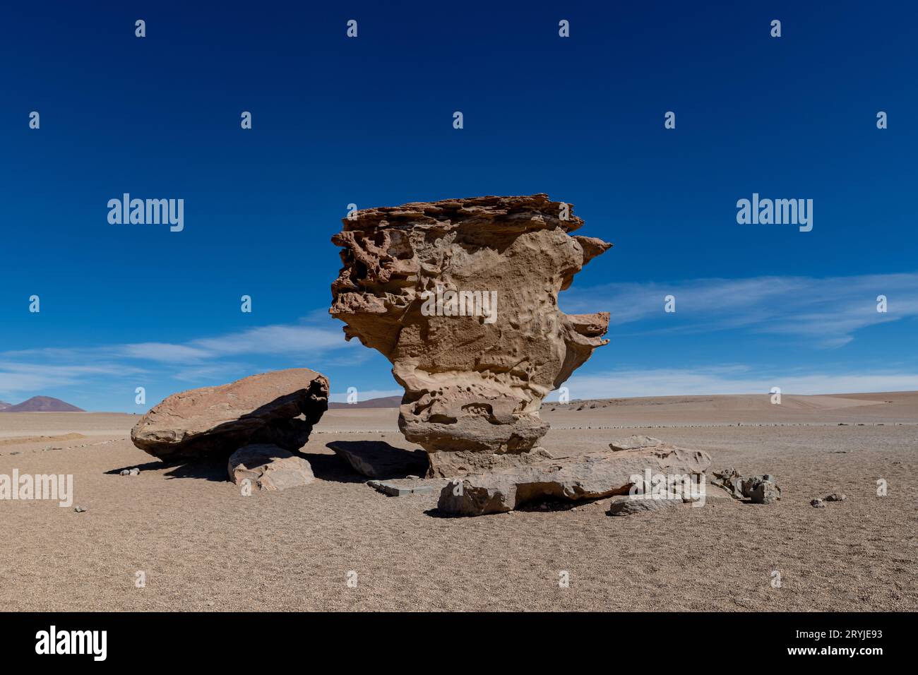 Stone tree in the bolivian altiplano Stock Photo - Alamy