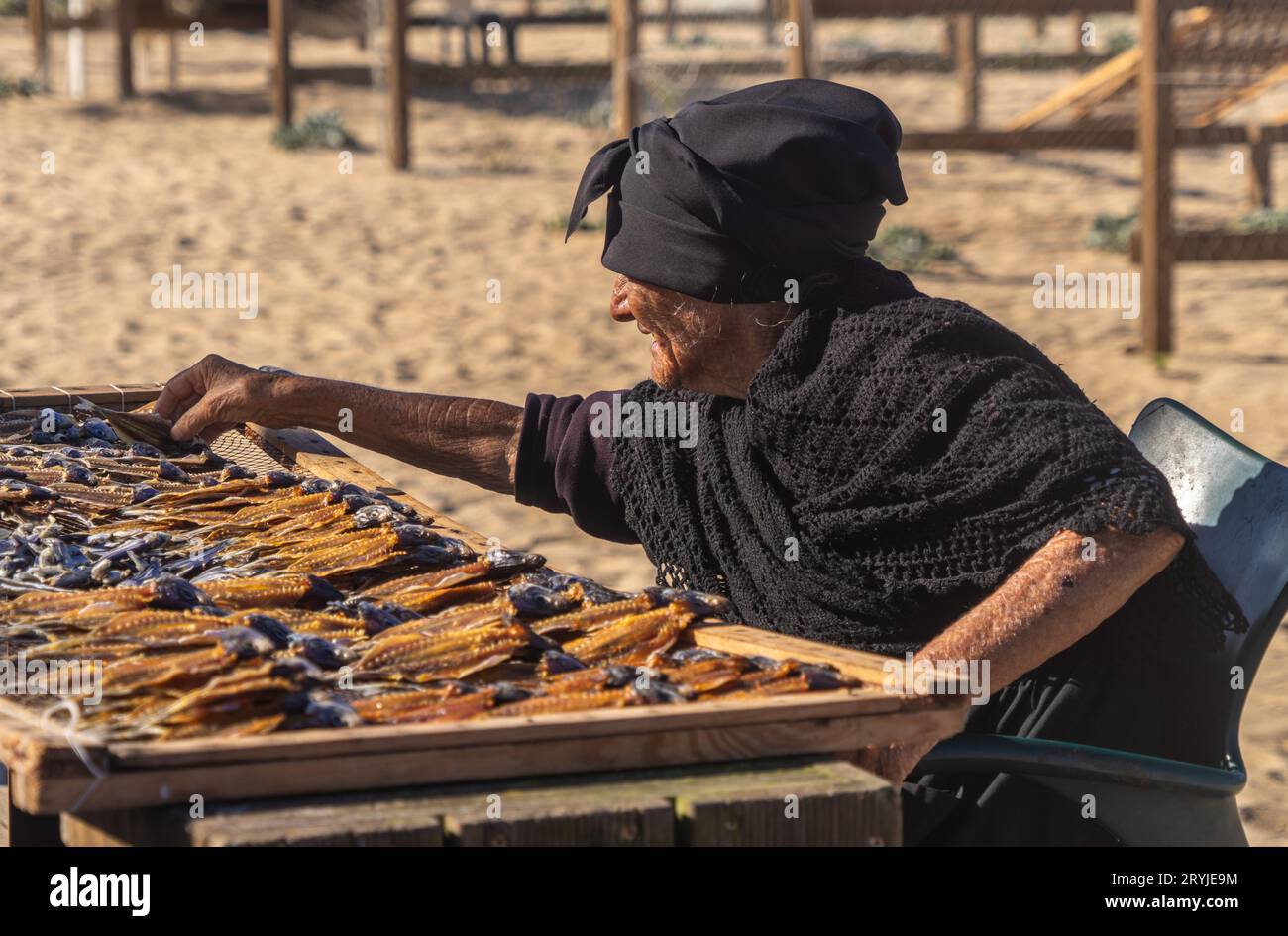 Local woman sun drying fish in the fishing village of Nazare in ...