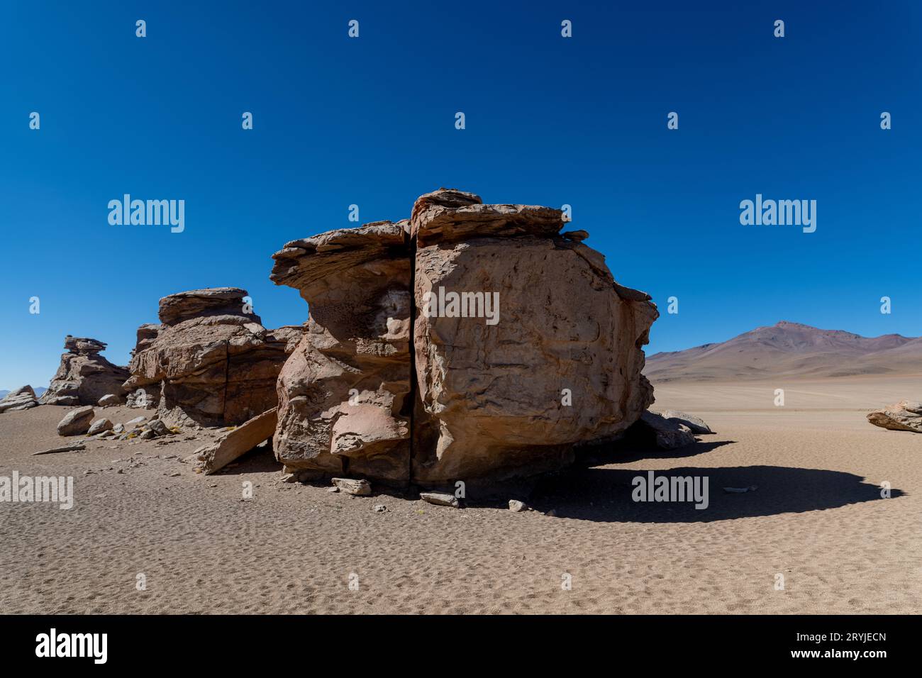 Stone tree in the bolivian altiplano Stock Photo - Alamy