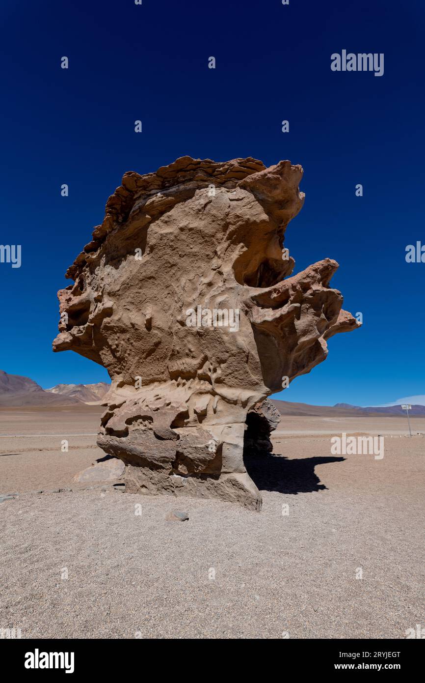 Altiplano scenery hi-res stock photography and images - Alamy