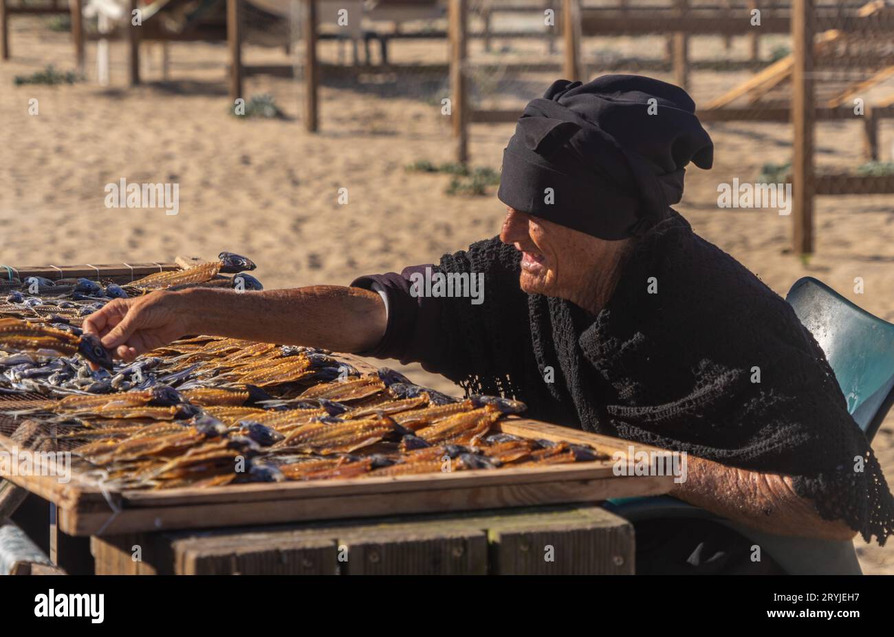 Local woman sun drying fish in the fishing village of Nazare in ...