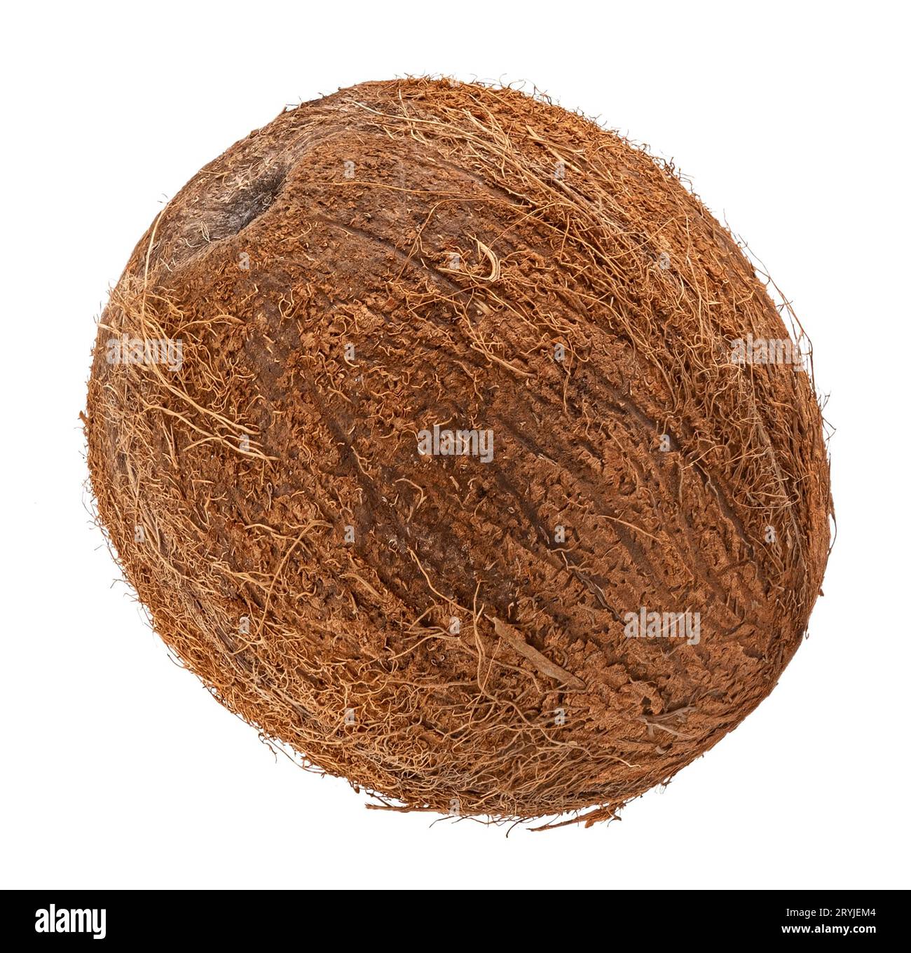 One whole coconut isolated on white background, full depth of field ...