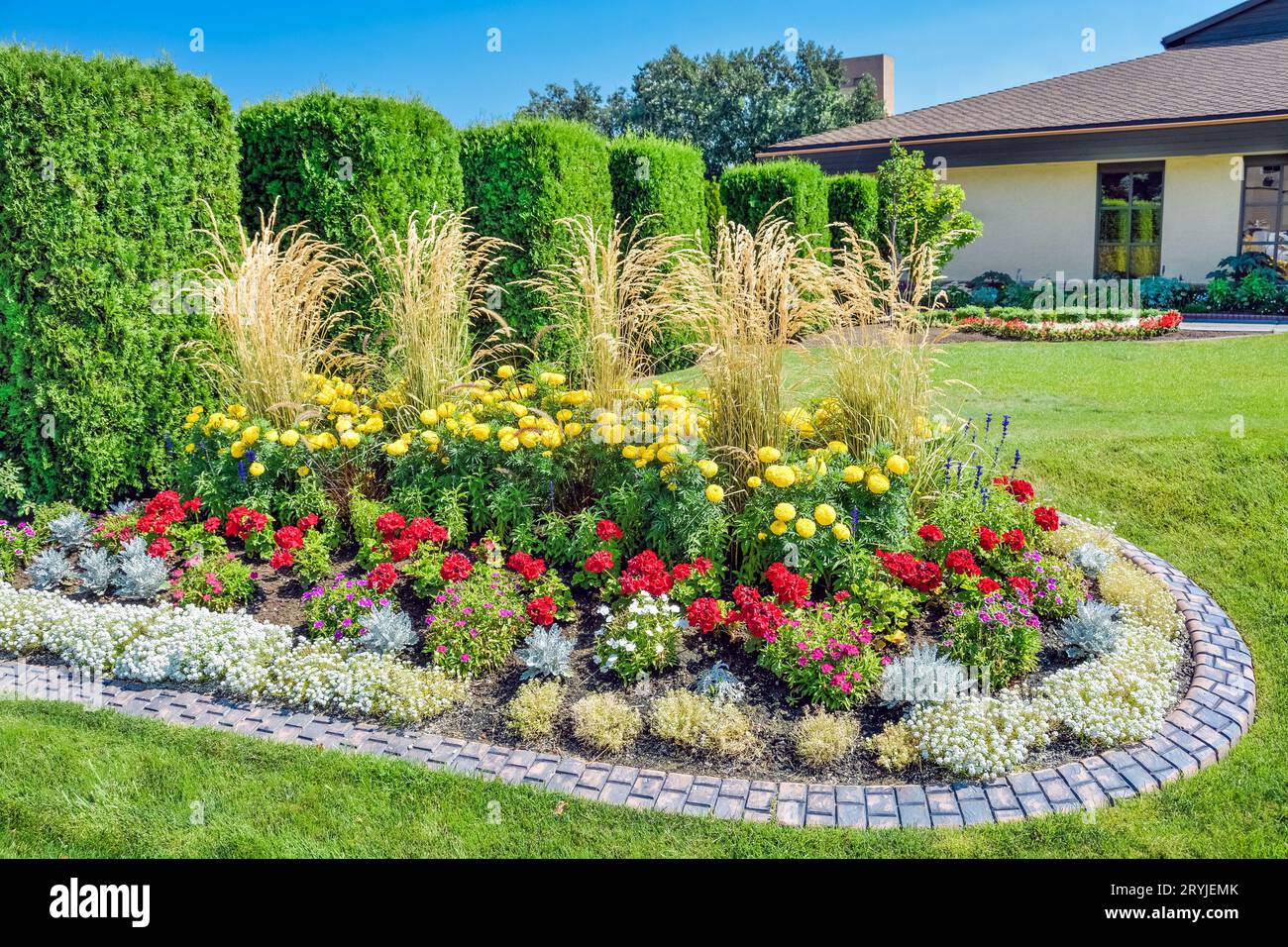 Petal delicately detailed hi-res stock photography and images - Alamy