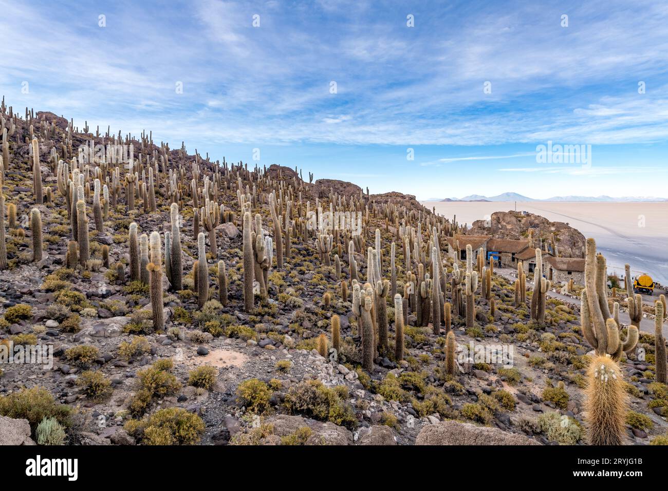 Cactus island in the salar de uyuni in the bolivian altiplano Stock ...