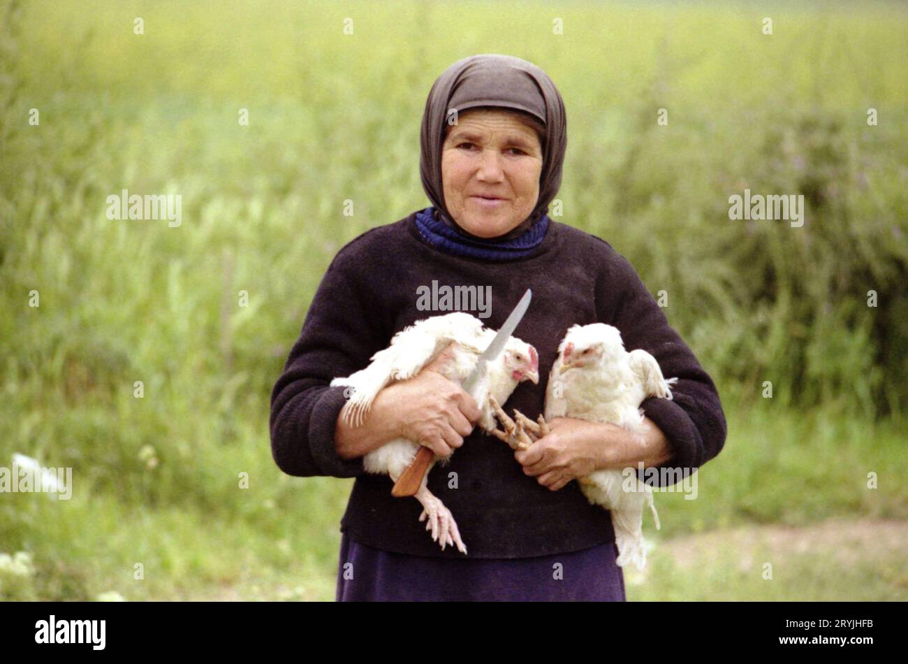 Ilfov County, Romania, 1990. Elderly nun holding two live chickens and ...