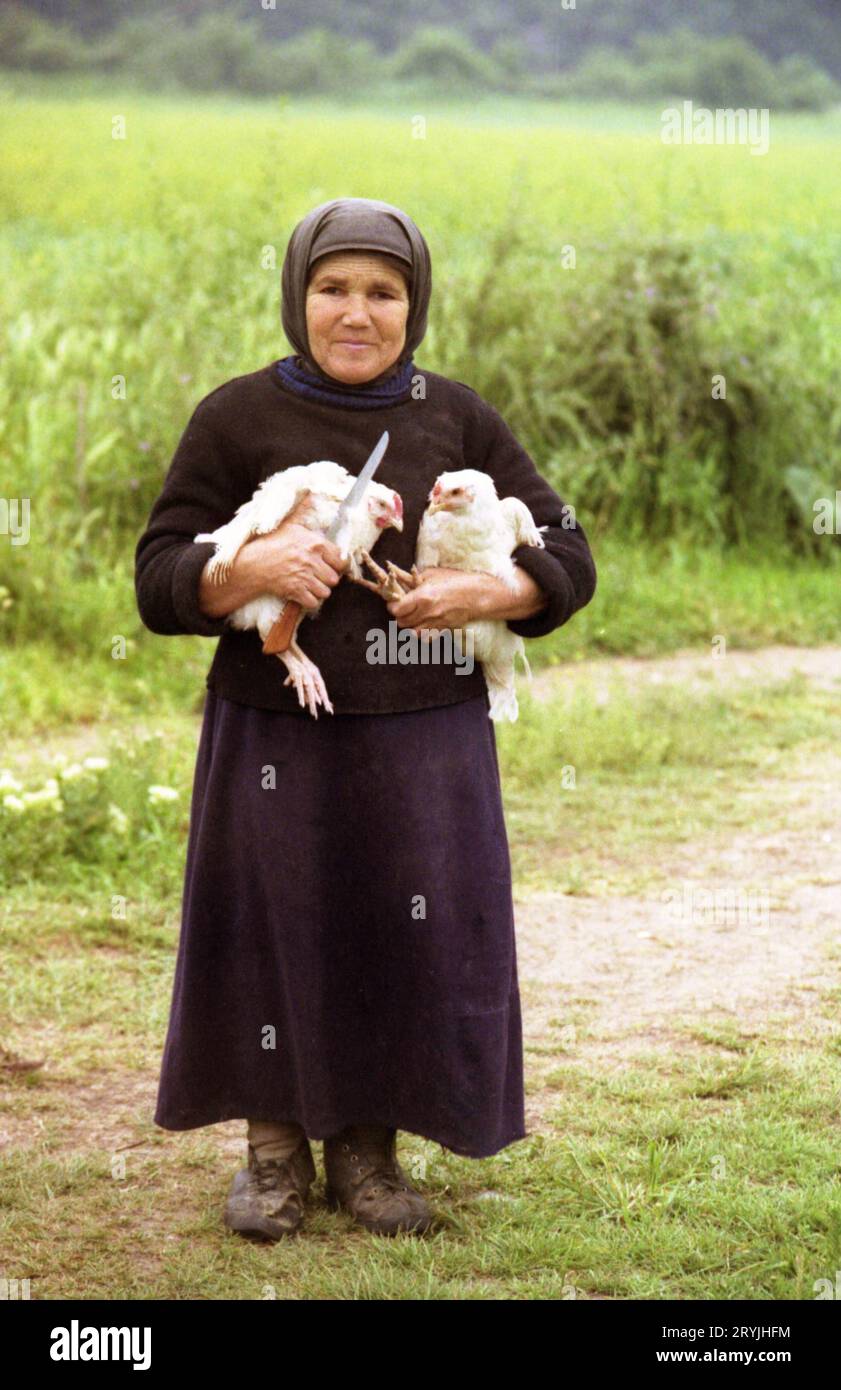 Ilfov County, Romania, 1990. Elderly nun holding two live chickens and ...