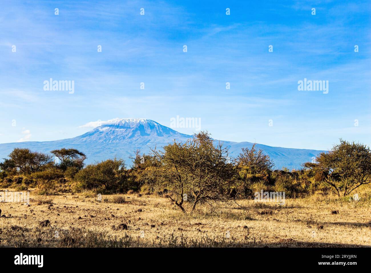 Mount kilimanjaro snow hi-res stock photography and images - Alamy