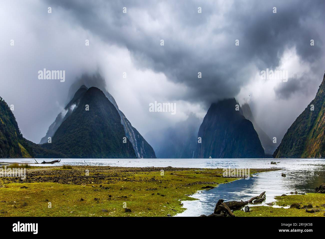 Swampy sound hi-res stock photography and images - Alamy