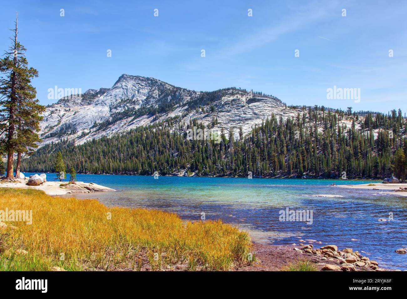 Glare sun hi-res stock photography and images - Alamy