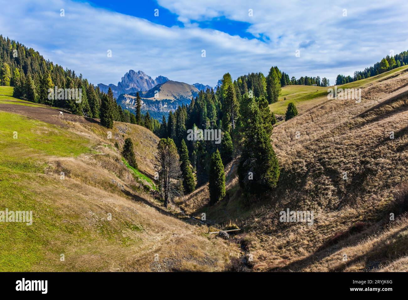 Grassy plateau hi-res stock photography and images - Alamy