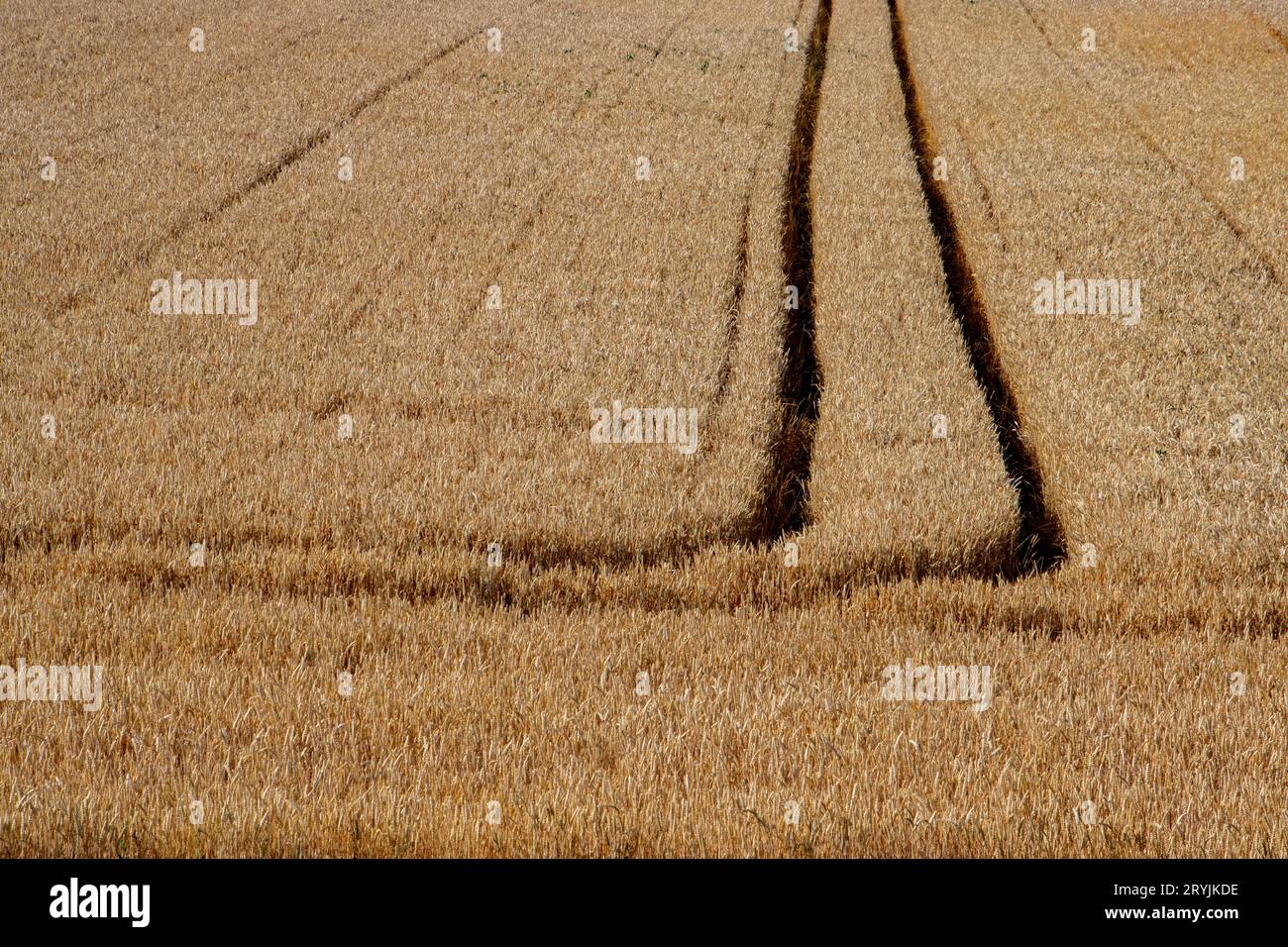 Track tractor agriculture hi-res stock photography and images - Alamy