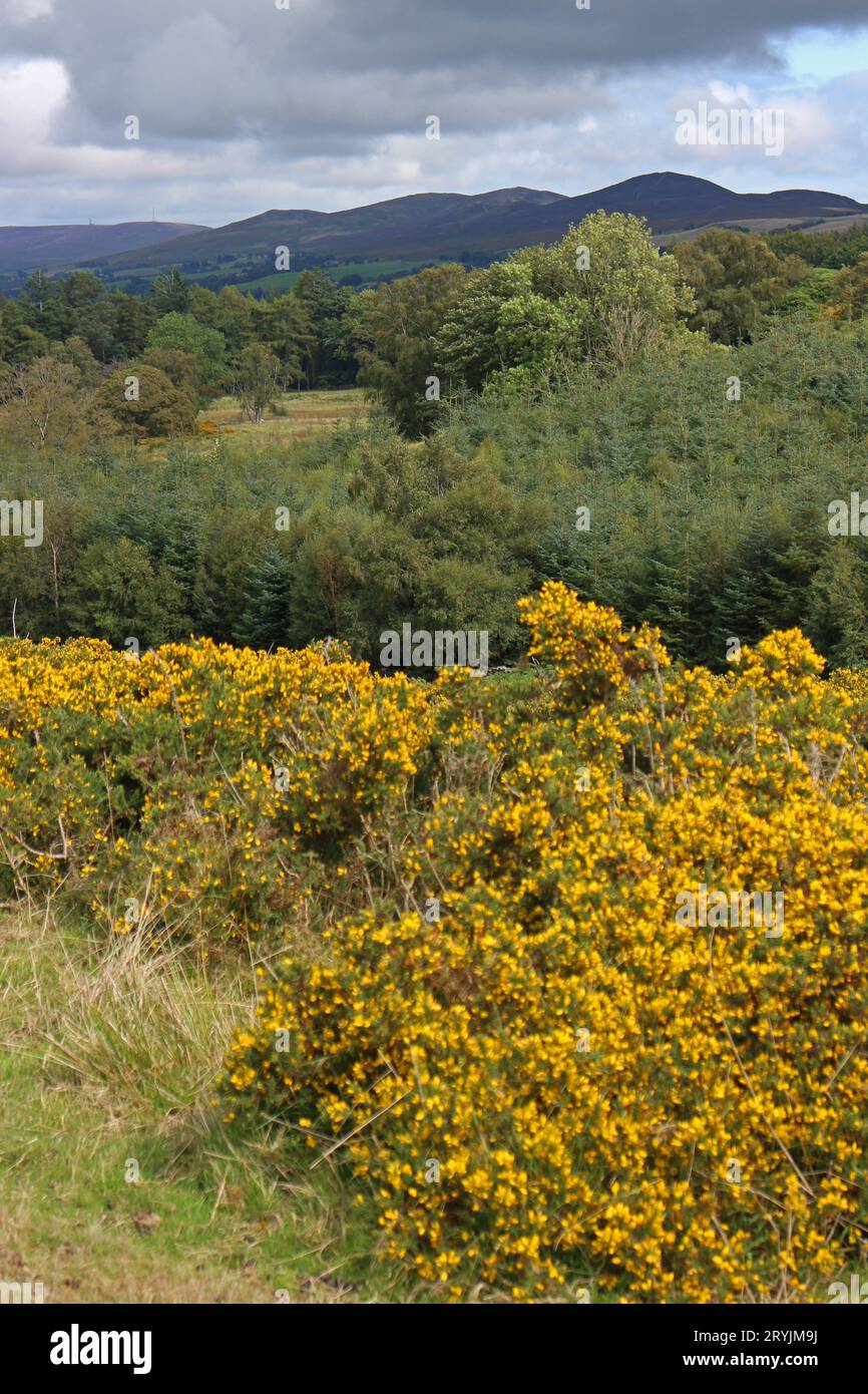 Clwydian range and dee valley hi-res stock photography and images - Alamy