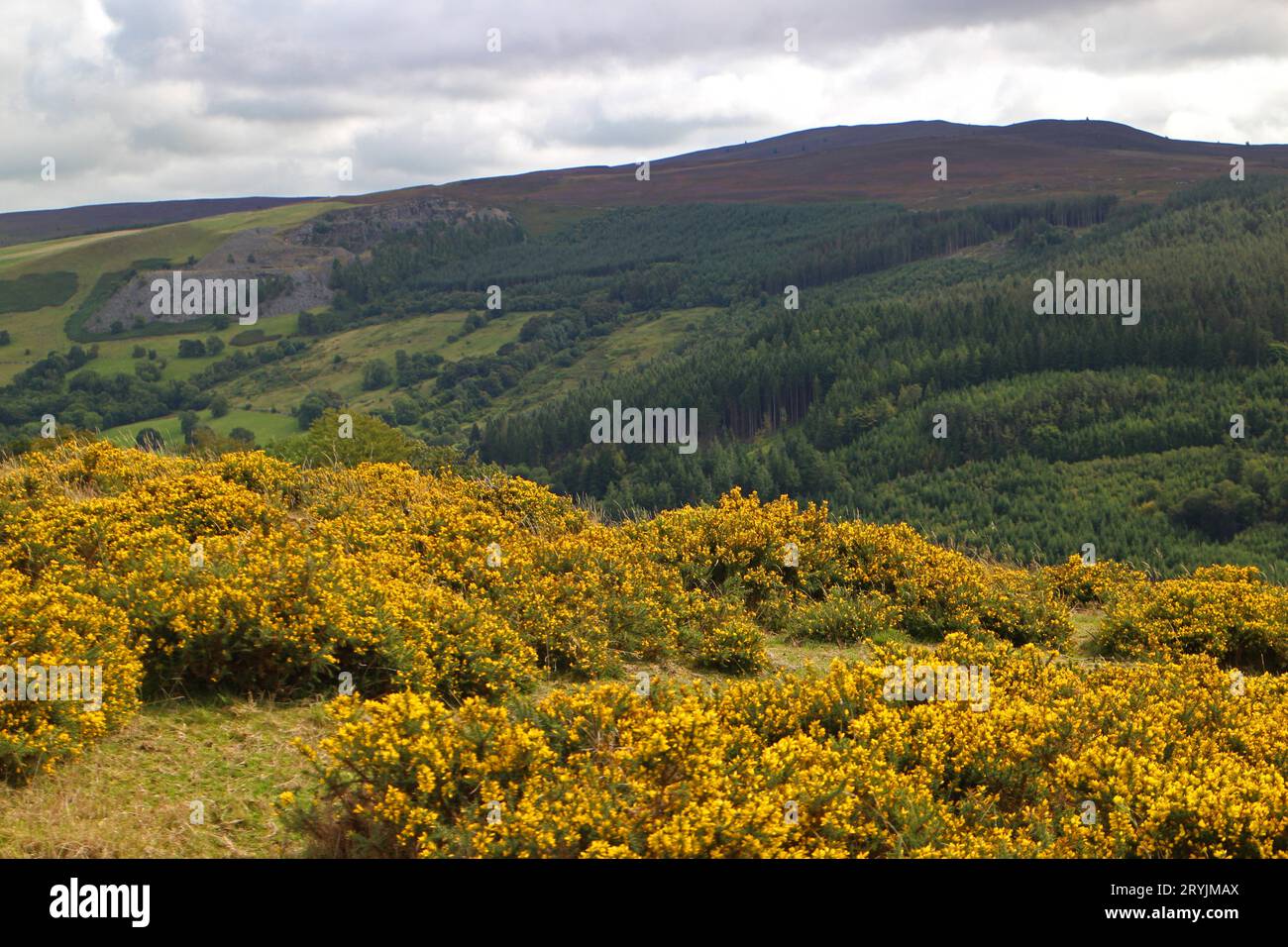 Clwydian range and dee valley hi-res stock photography and images - Alamy