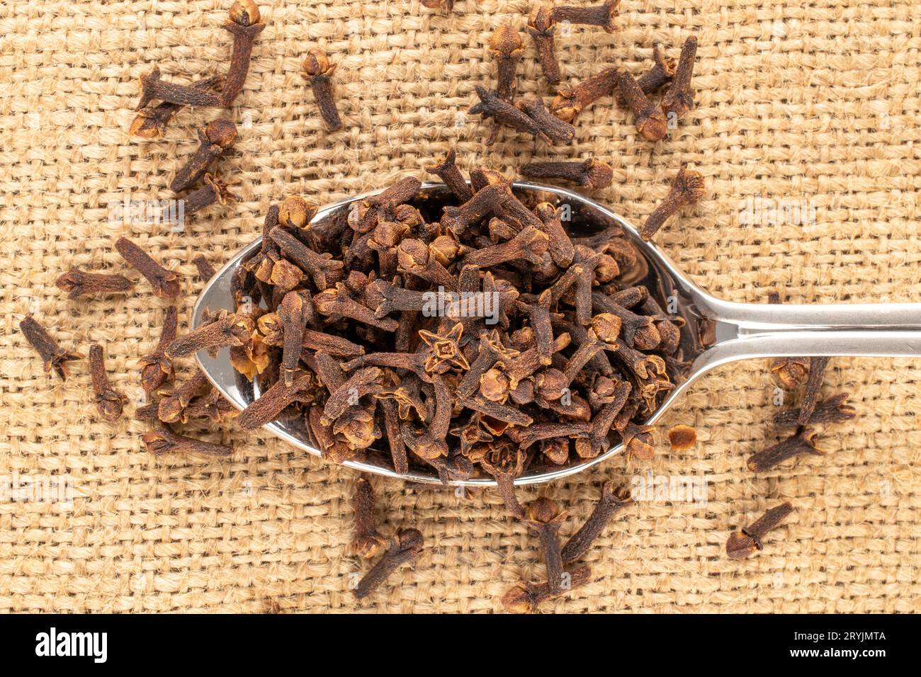 Dry aromatic cloves with metal spoon on jute cloth, macro, top view ...