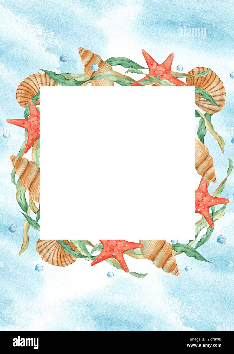 Sea card template with sea square frame, seaweeds, seashells, red ...