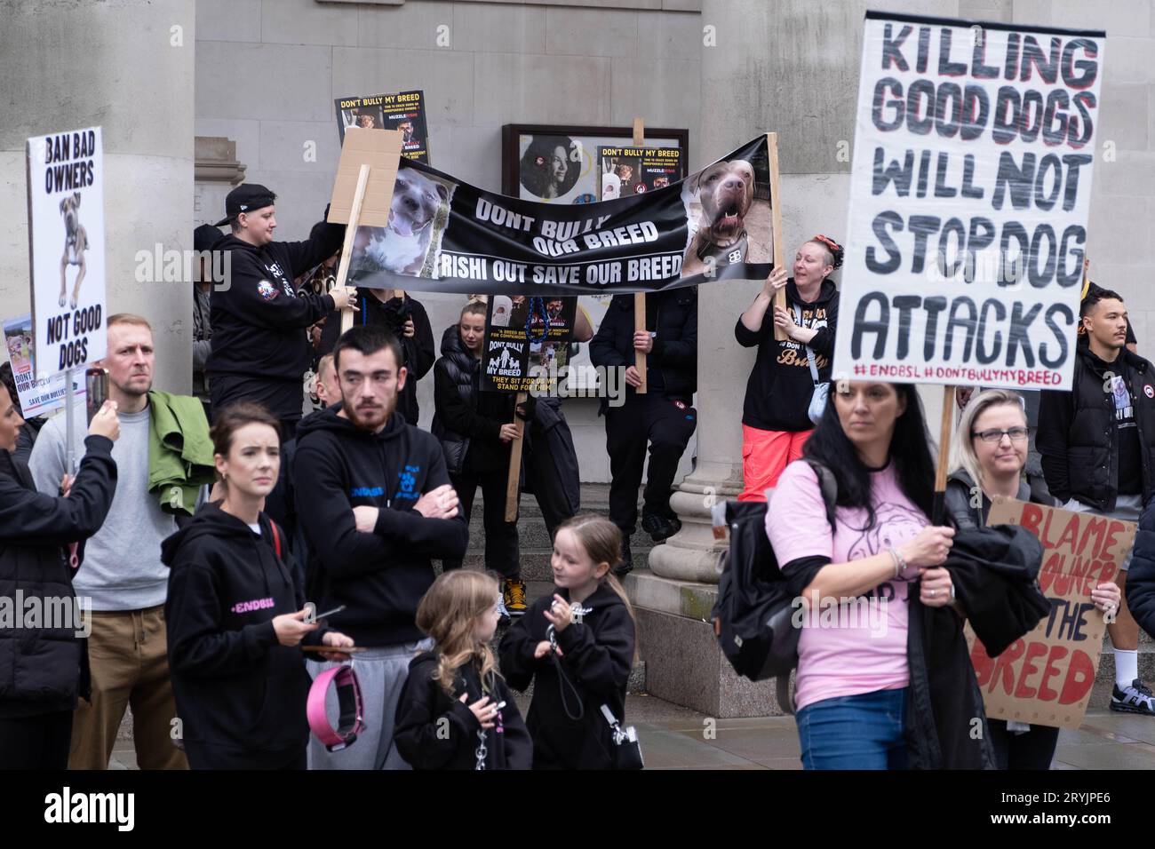 American bully xl dog hi-res stock photography and images - Alamy