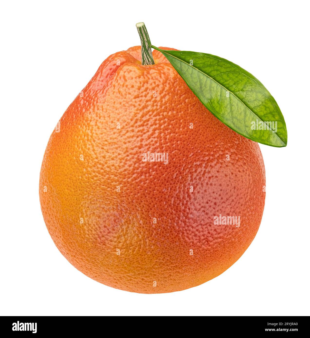 One whole grapefruit isolated on white background Stock Photo - Alamy