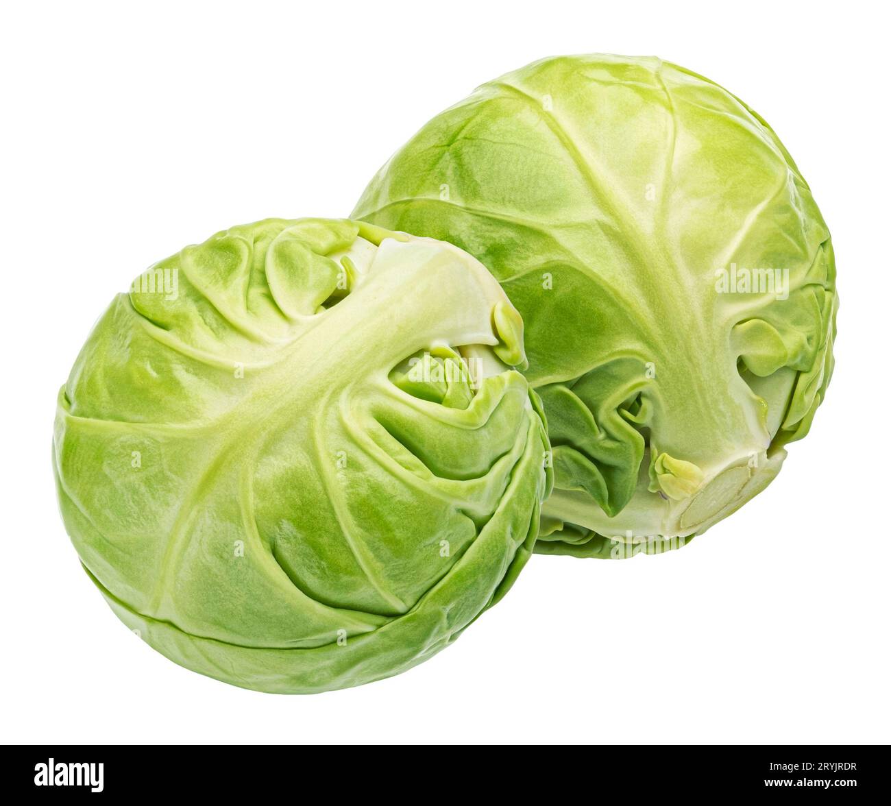 Brussels sprouts isolated on white background Stock Photo - Alamy