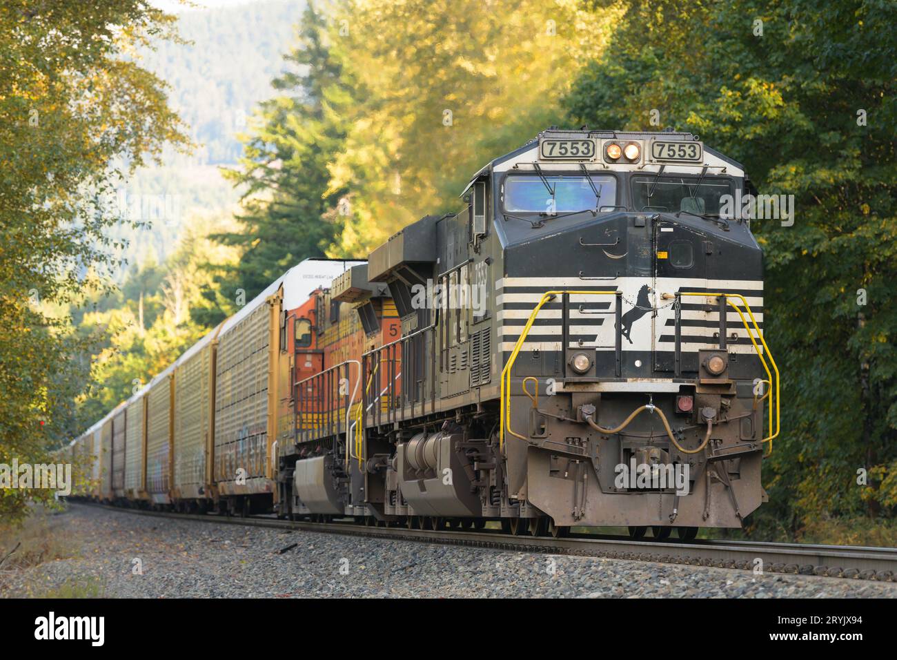 Skykomish, WA, USA - September 29, 2023; Norfolk Southern locomotive on BNSF autorack freight ...