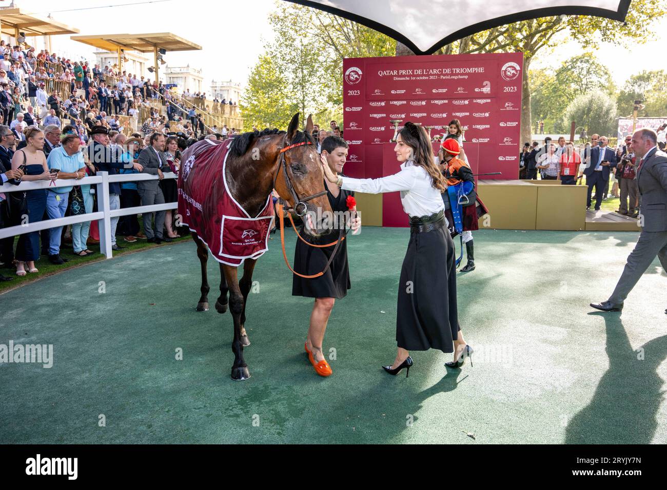 Ace impact horse hi-res stock photography and images - Alamy